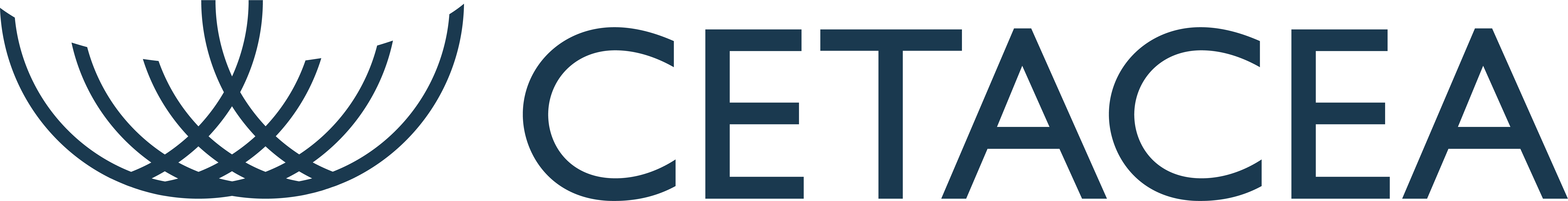 Cetacea